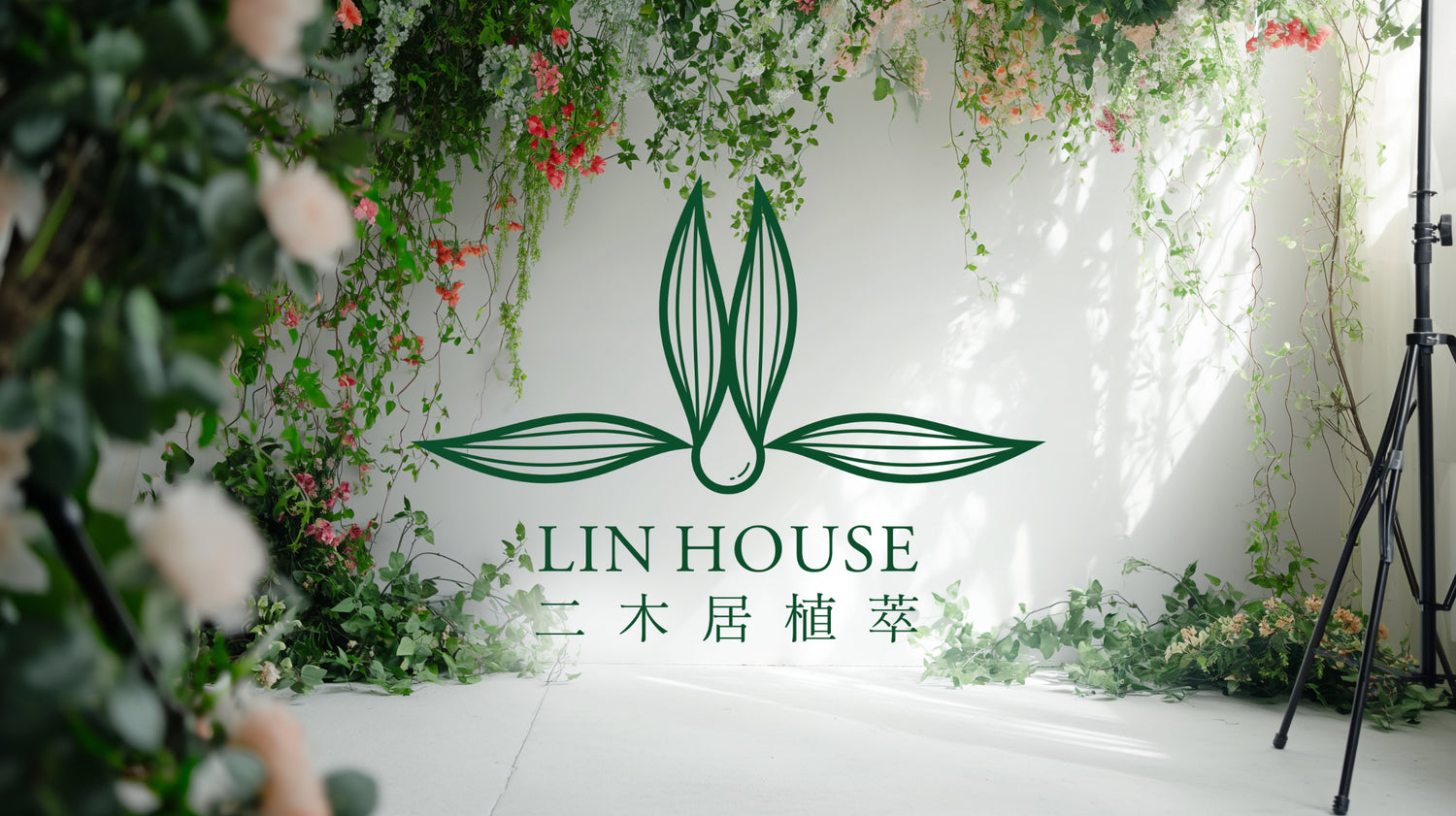 About LIN House – LIN HOUSE